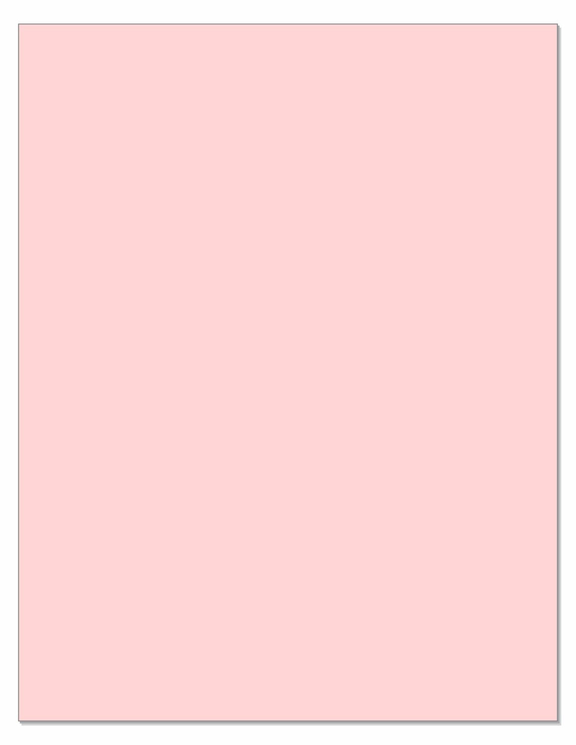 8.5" x 11" 1 Part NCR Superior 22 lb CFB Pink Paper, Item #5836 - Apple ...